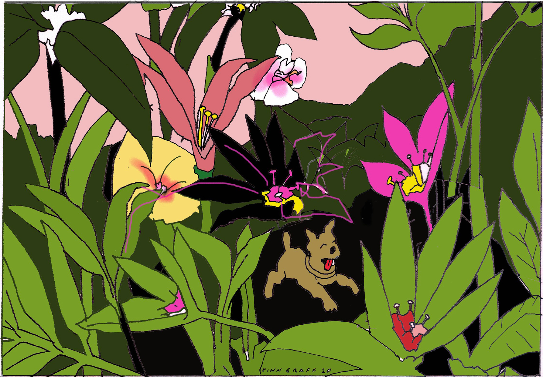 Bellas skog | Magasinet Psykisk helse